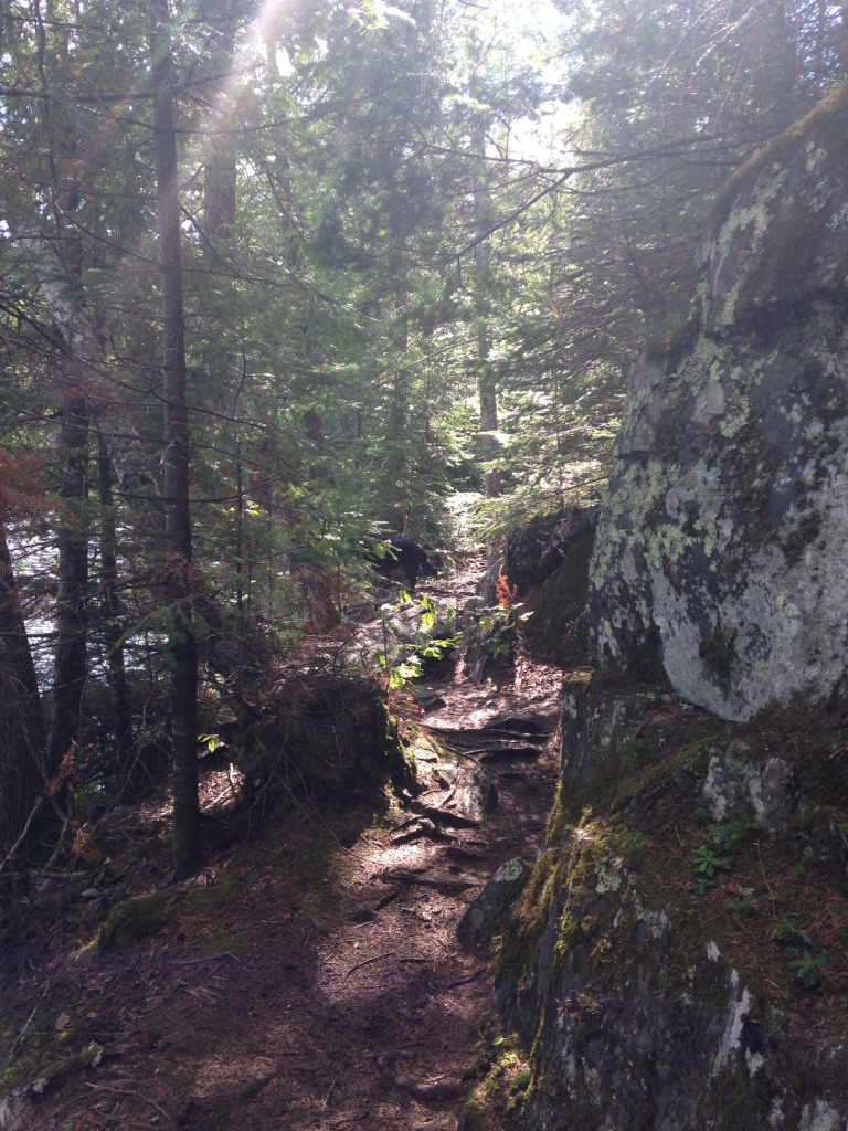 Hiking the Whiteshell: The Hunt Lake trail – Spectator Tribune